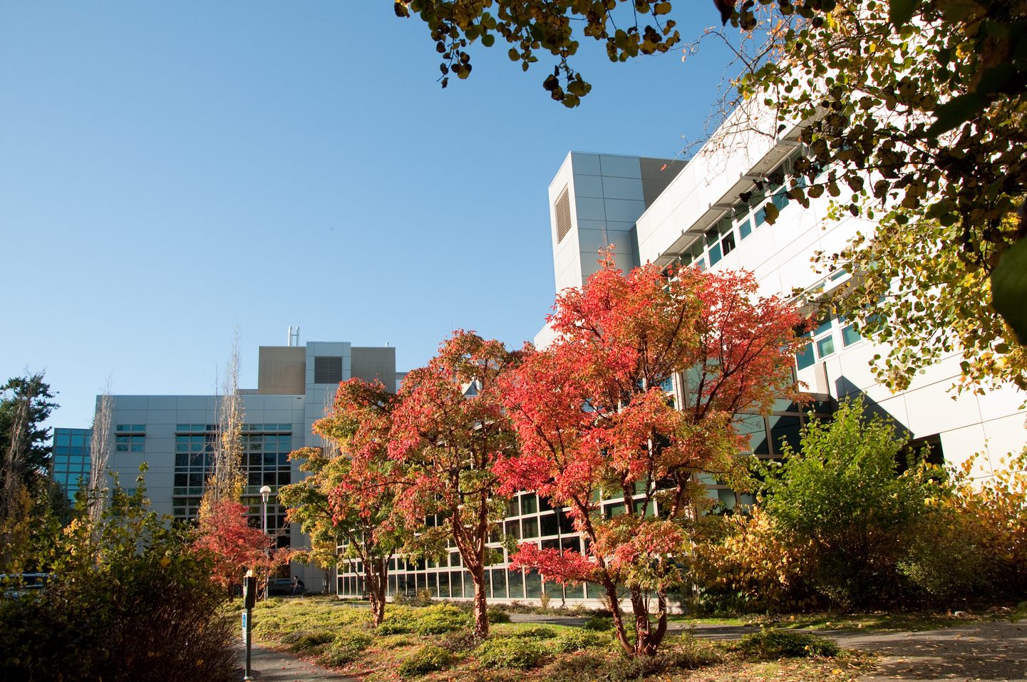 University of Victoria | Canada | Study abroad | Kaplan International