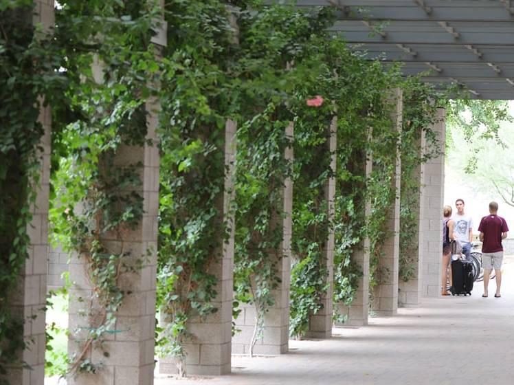 9 things to know about ASU student housing | Kaplan Pathways blog