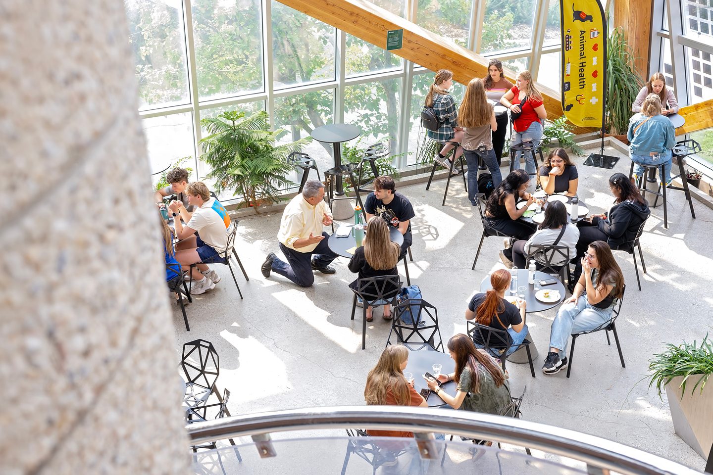 University of Alberta | Study abroad in Canada | Kaplan International ...